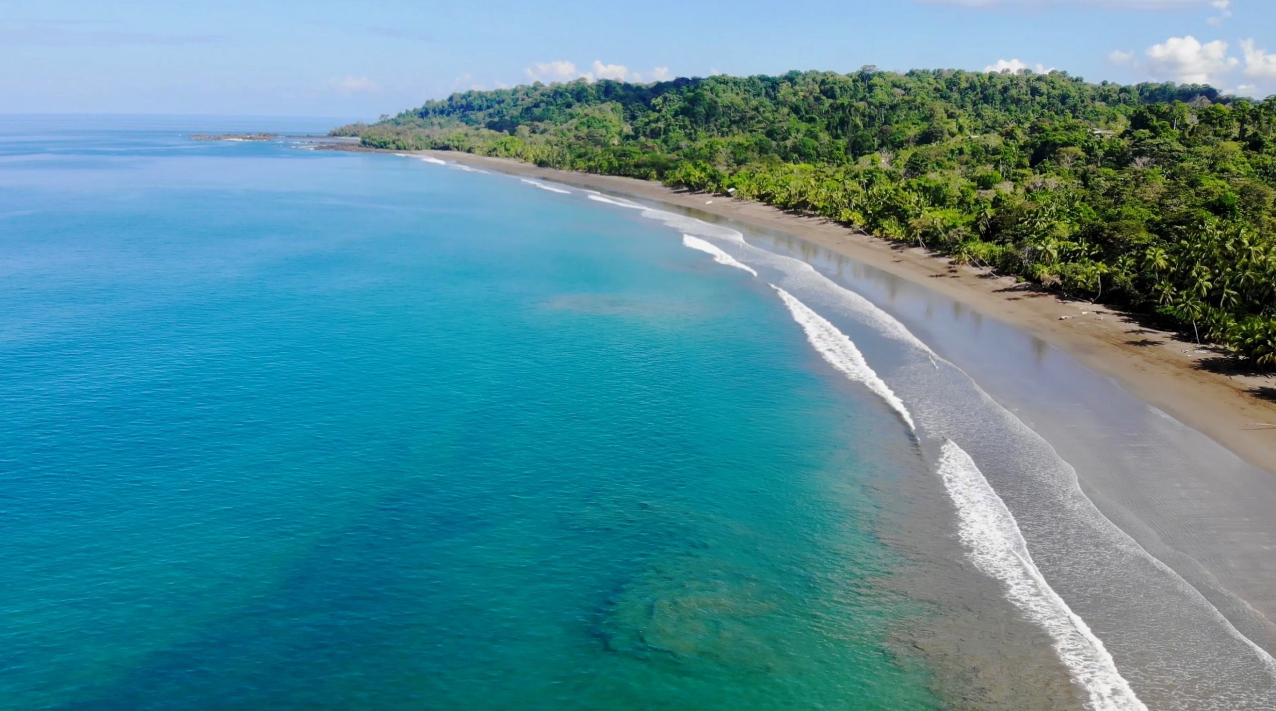 REBIRTH — by Jordan Bates